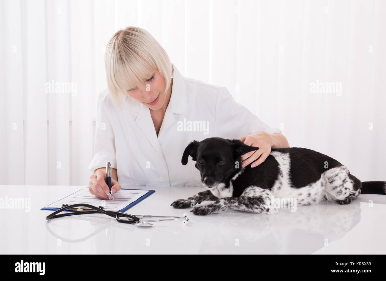 Female Veterinarian Writing Prescription For Dog Stock Photo - Alamy