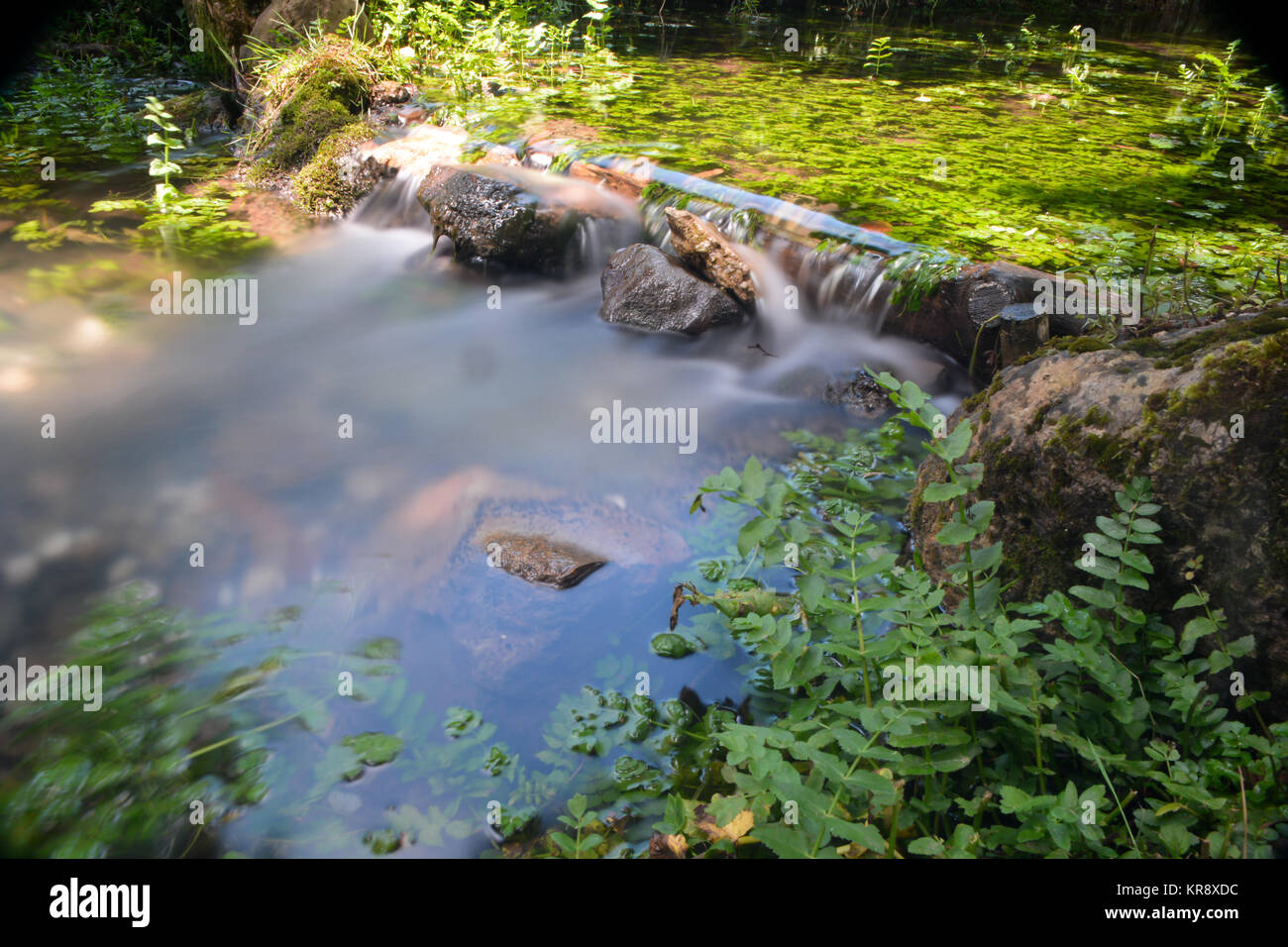 Small water stream Stock Photo - Alamy