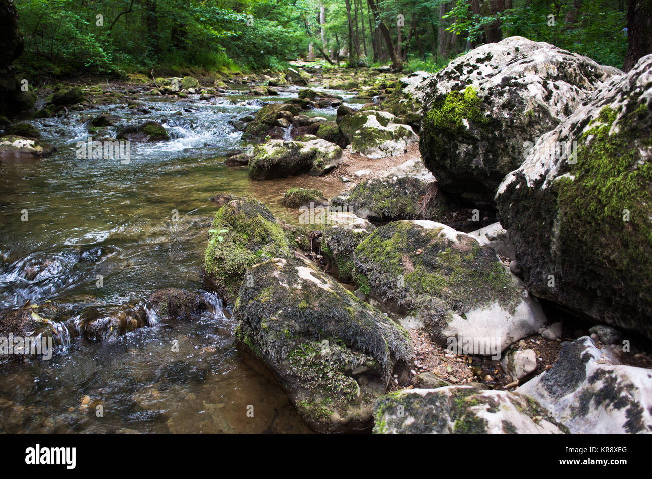 Water stream running over mossy rocks Stock Photo - Alamy