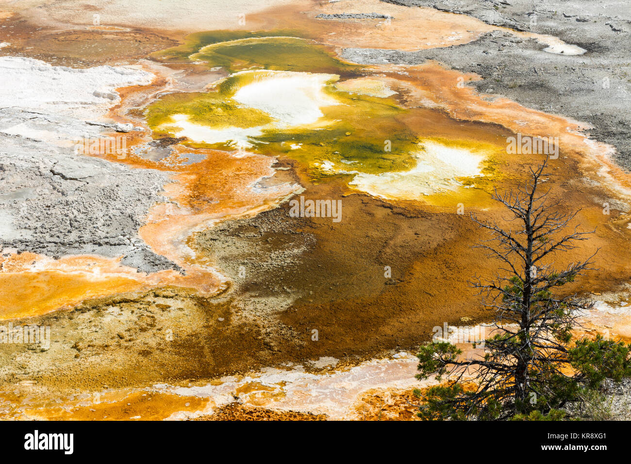 Sinter limestone terrace hi-res stock photography and images - Alamy