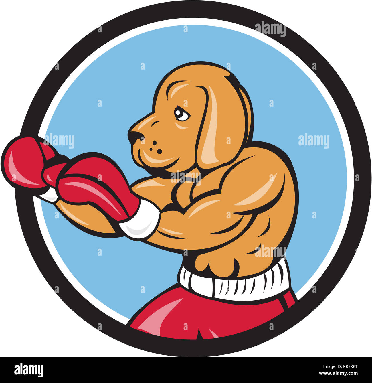 Dog Fighting Cartoon