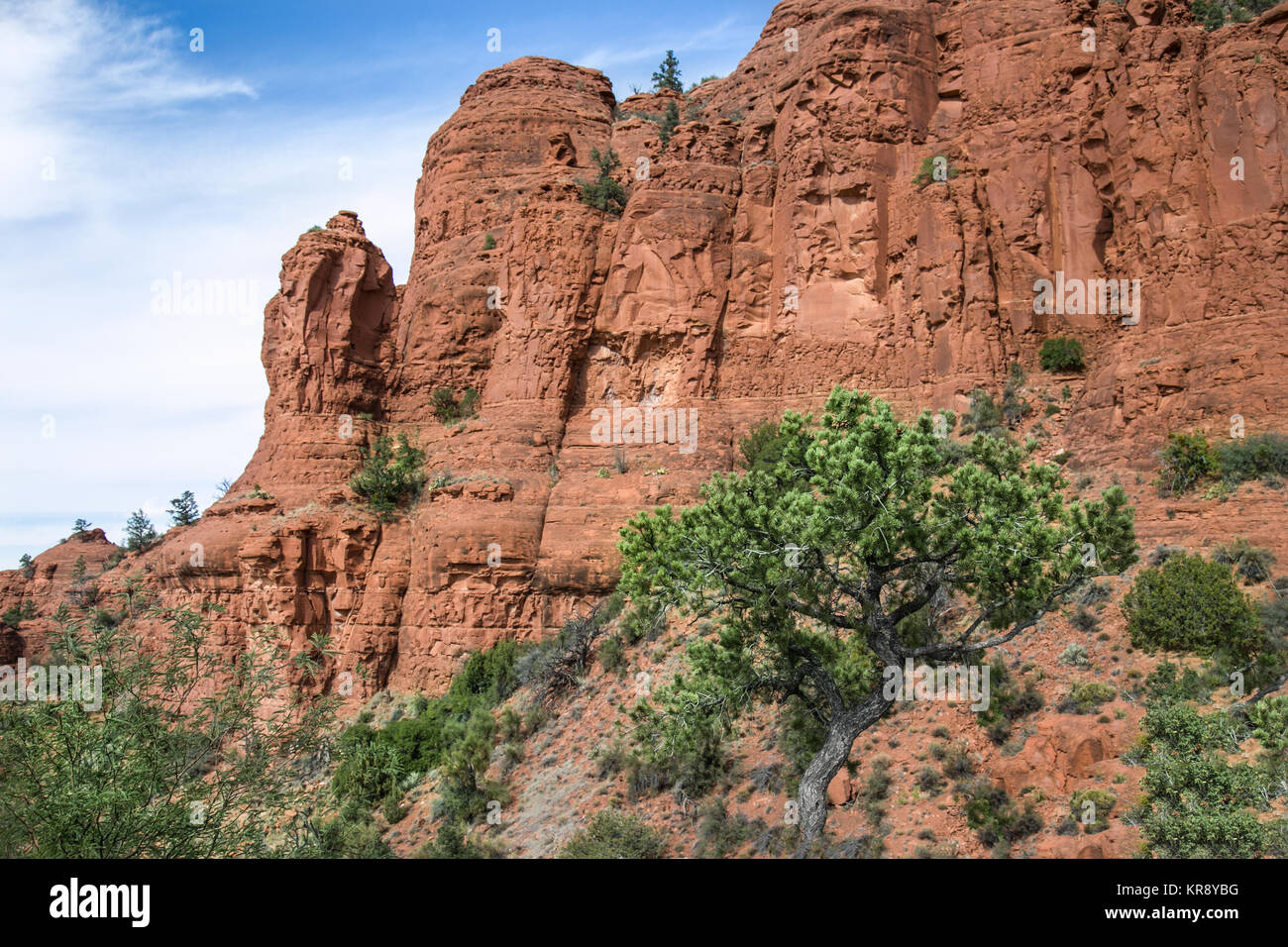 Stunning red rocks in Sedona, Arizona, the USA Stock Photo - Alamy