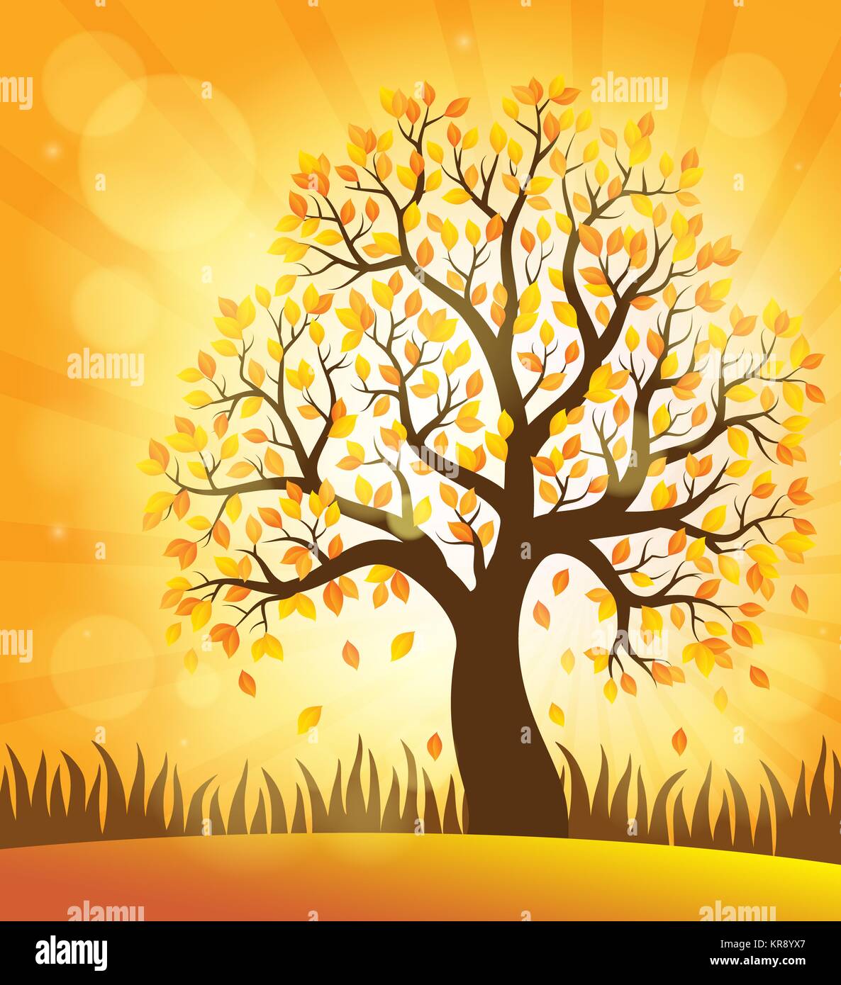 Autumn tree theme image 4 Stock Photo - Alamy