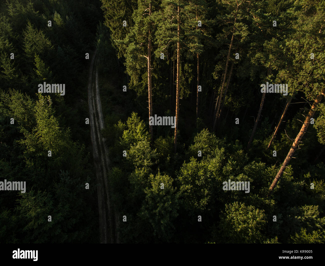 Aerial view of vast forests Stock Photo - Alamy