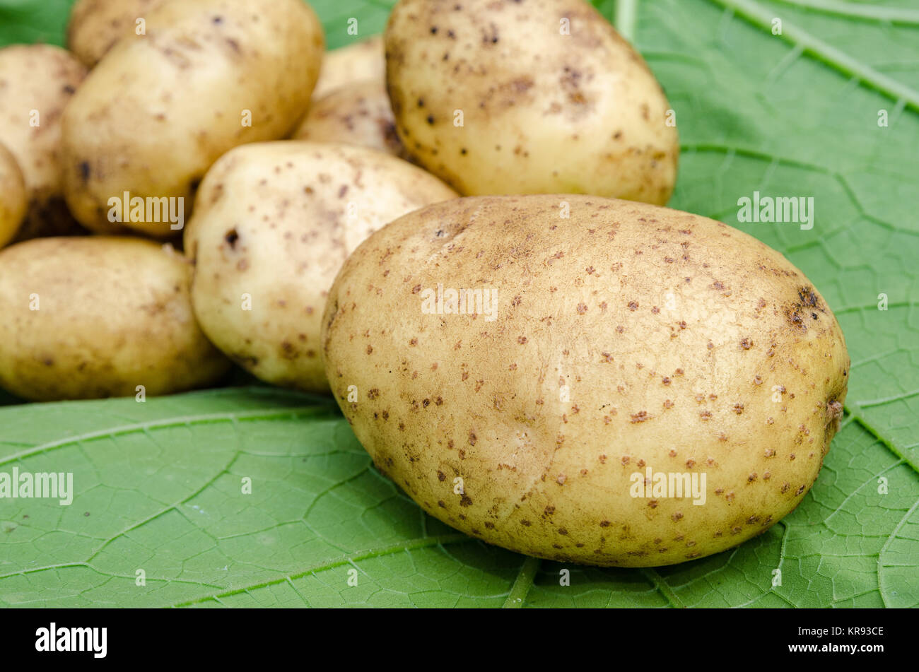 Potatoes vegetables garden Stock Photo - Alamy