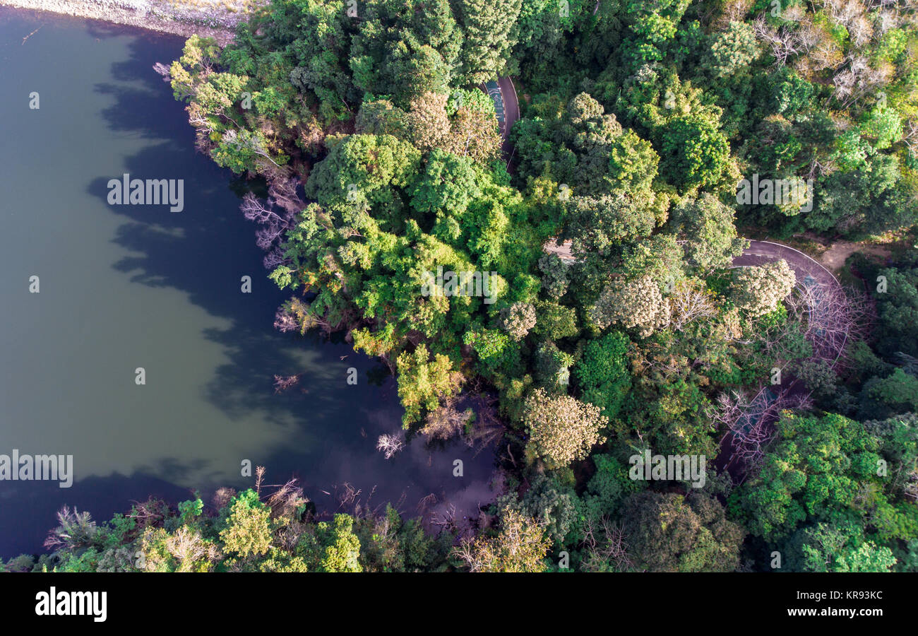 Aerial view of lake and forest Stock Photo - Alamy