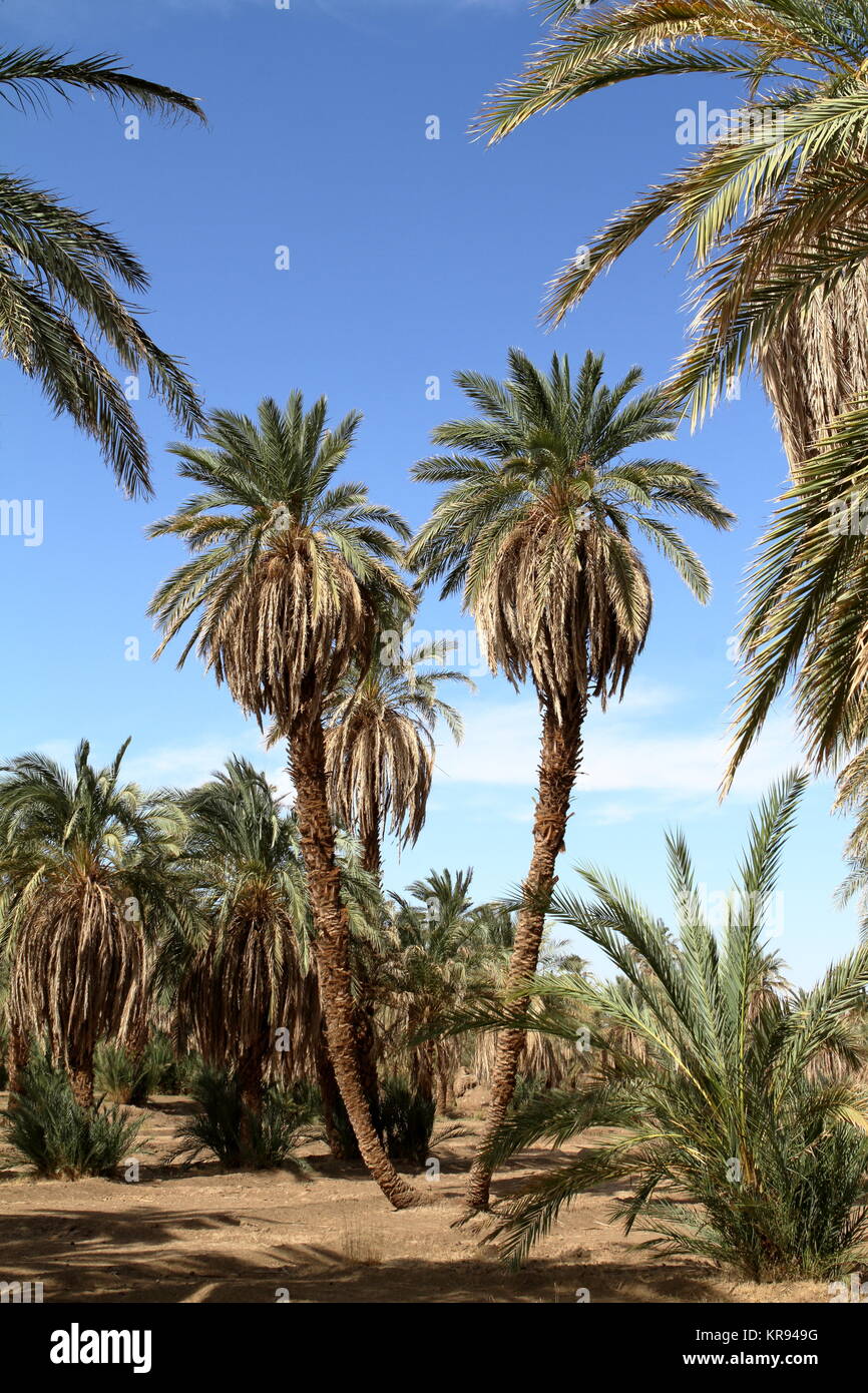 Sudan scenery hi-res stock photography and images - Alamy