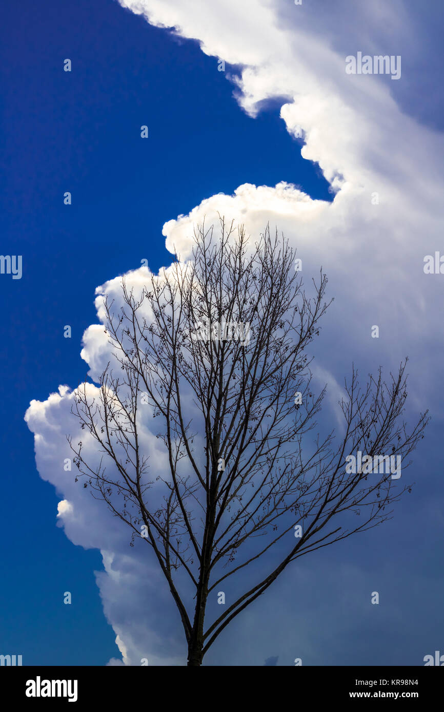 Storm picture hi-res stock photography and images - Alamy