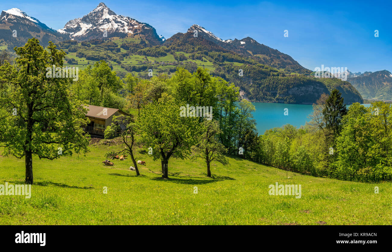 Swiss alpine scenery Stock Photo - Alamy