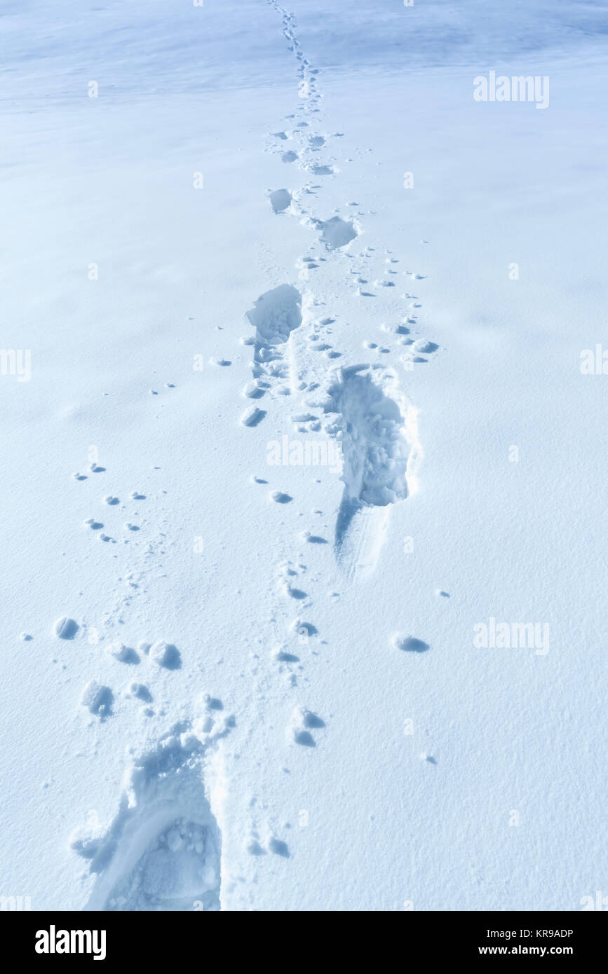 Winter background with footprints in the snow Stock Photo - Alamy