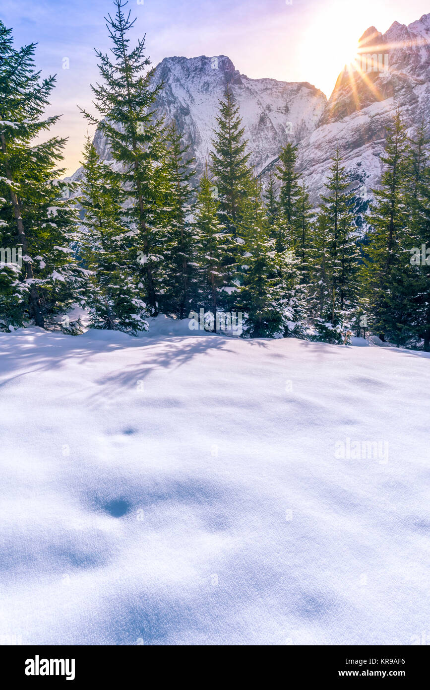 Winter sunshine over the forest and the Alps Stock Photo - Alamy