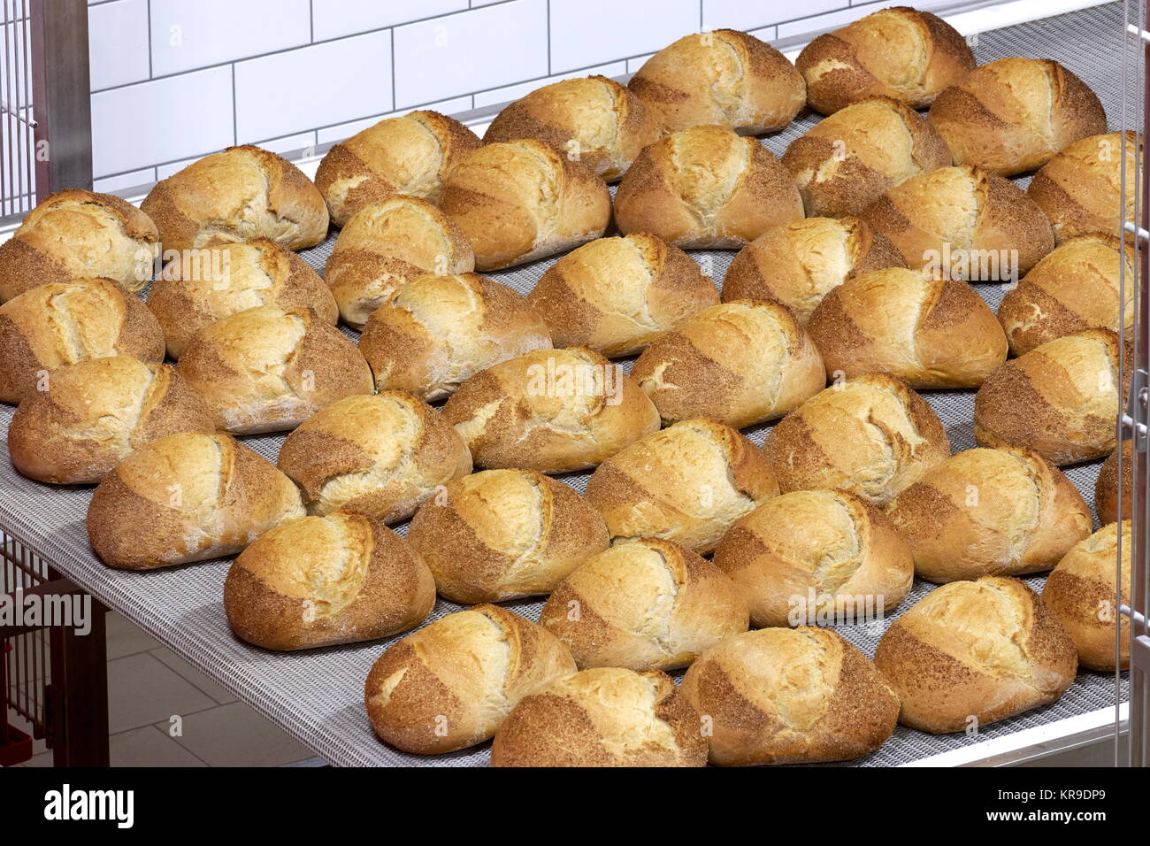 Industrial bakery line process of bread production Stock Photo - Alamy
