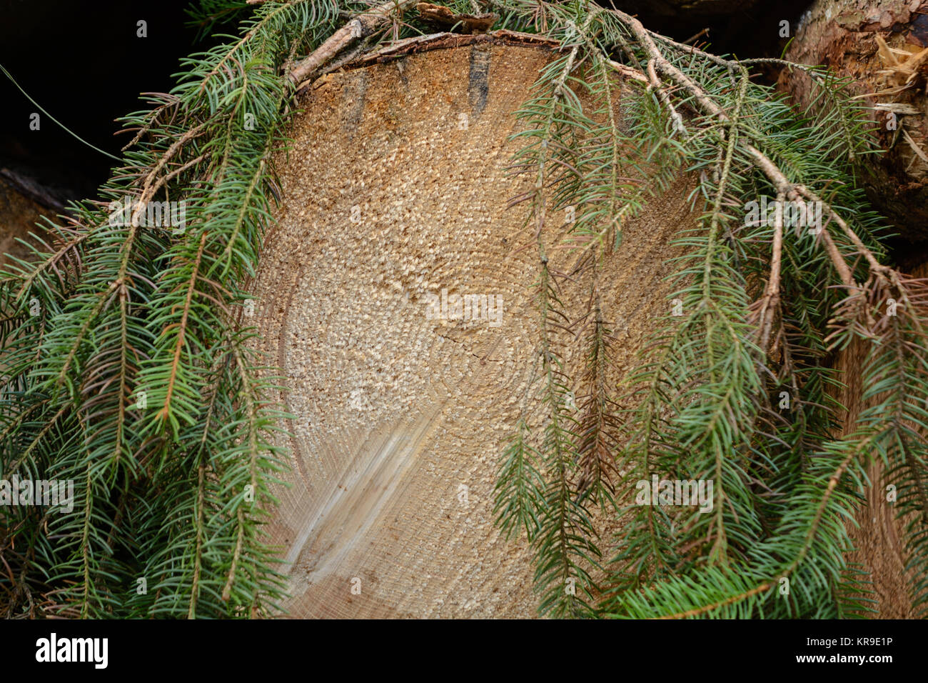 Sectional area hi-res stock photography and images - Alamy
