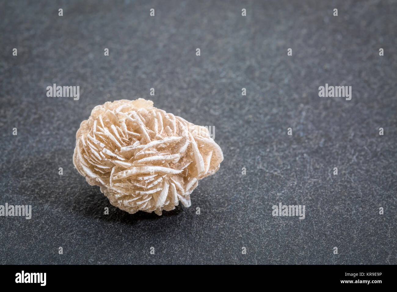 Gypsum rosette (desert rose) on slate stone background with a copy ...