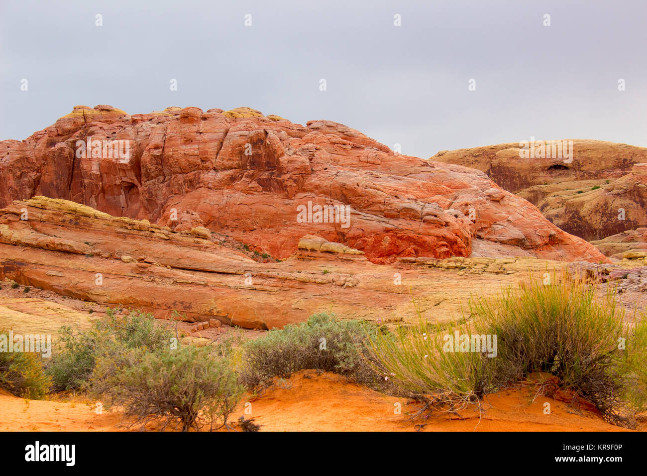 Amazing colors and shape of the Fire Wave rock Stock Photo - Alamy