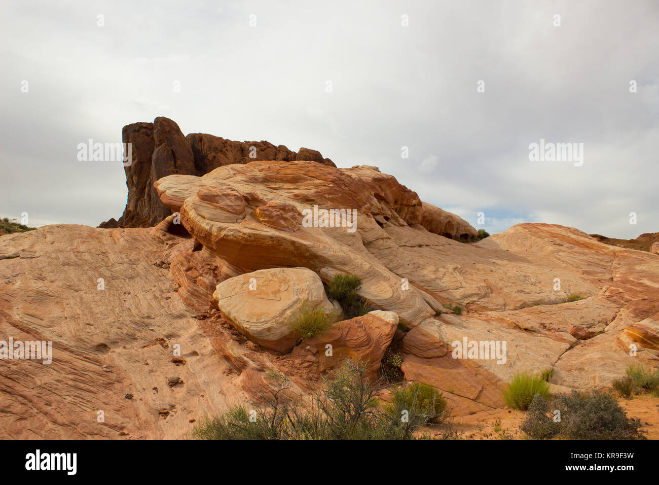 Amazing colors and shape of the Fire Wave rock Stock Photo - Alamy