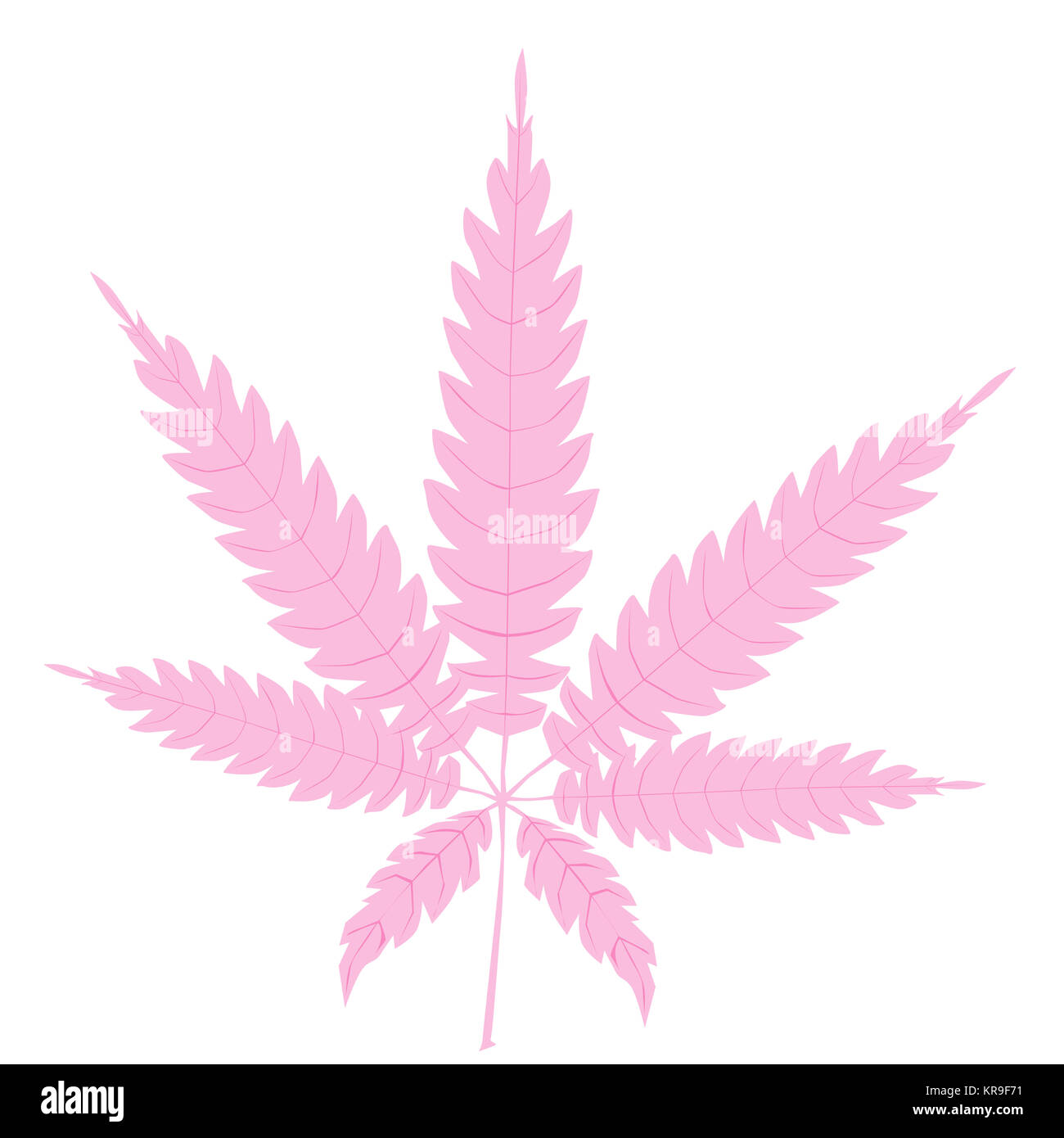 Pink Cannabis Leaf Stock Photo - Alamy