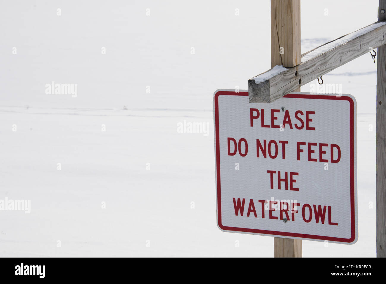 Sign indicating Please do not feed the waterfowl on a snow covered ...