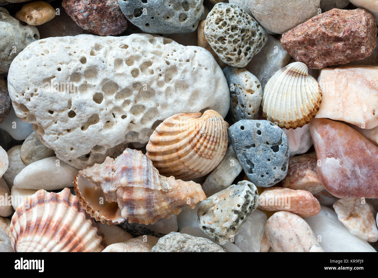 Sea Pebbles On The Beach Stock Photo - Alamy