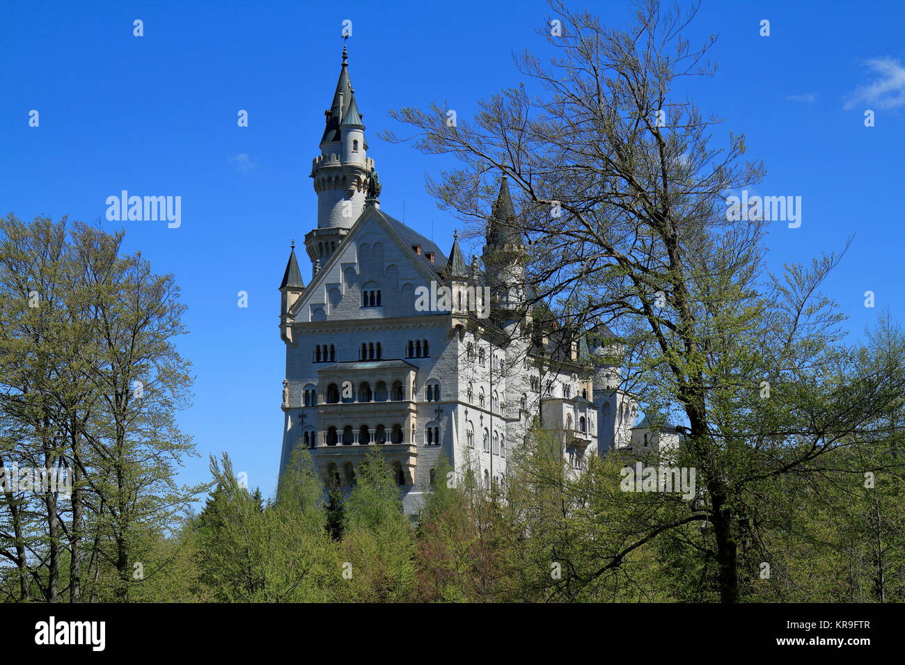 Neuschwanstein Castle in the Bavarian Alps, Germany Stock Photo - Alamy
