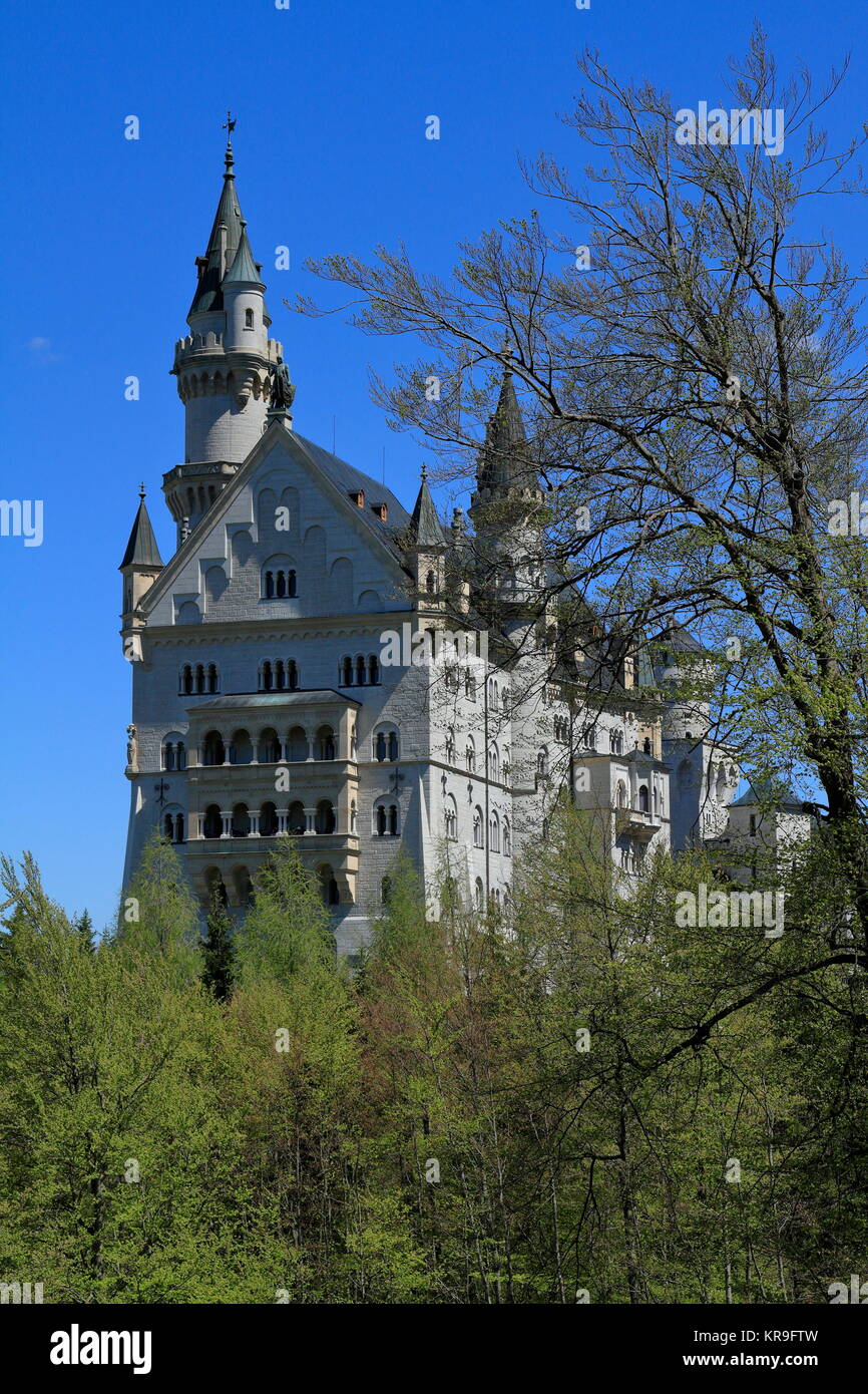 Neuschwanstein Castle in the Bavarian Alps, Germany Stock Photo - Alamy