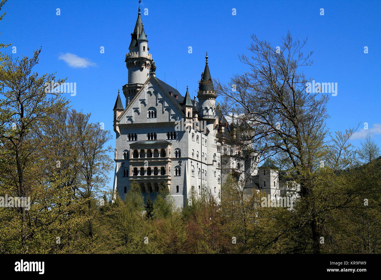 Neuschwanstein Castle in the Bavarian Alps, Germany Stock Photo - Alamy