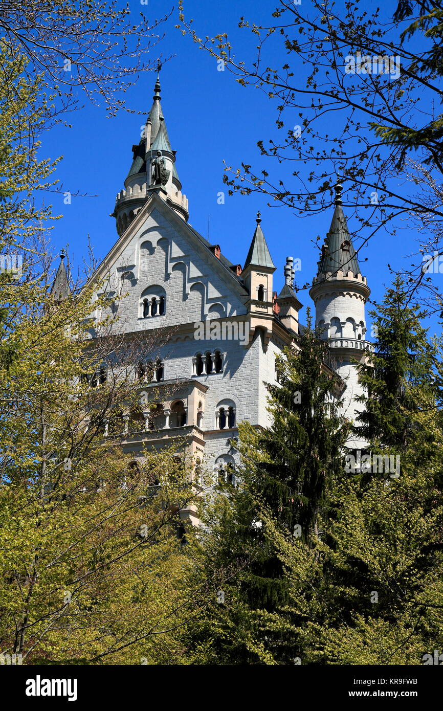 Neuschwanstein Castle in the Bavarian Alps, Germany Stock Photo - Alamy