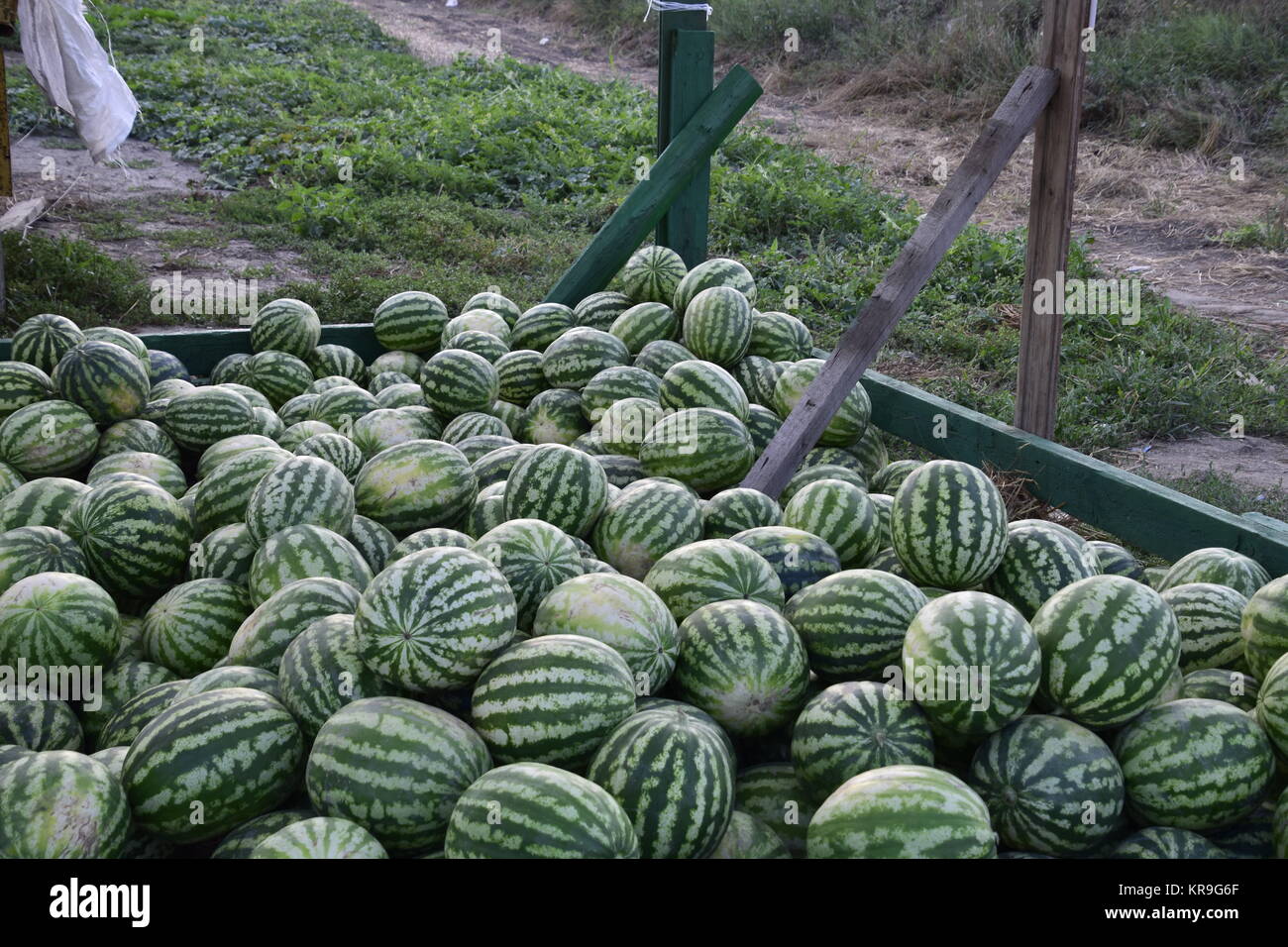 Full sphere hi-res stock photography and images - Alamy