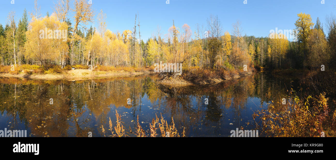 Fall colors around Moose Lake in Northern Idaho Stock Photo - Alamy
