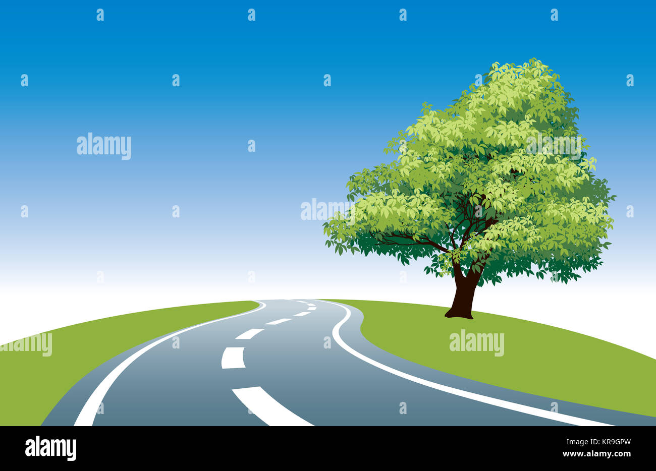 Illustration big tree road hi-res stock photography and images - Alamy