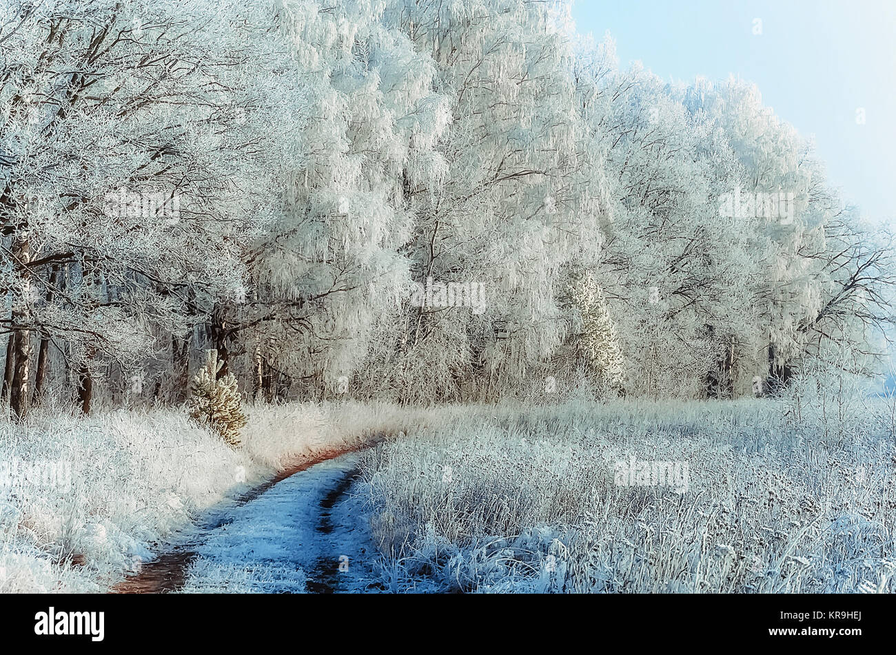 Winter Landscape With a Forest Path Stock Photo - Alamy