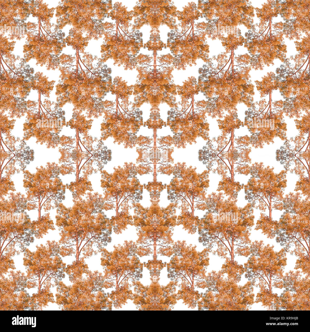 Nature Collage Seamless Pattern Stock Photo - Alamy