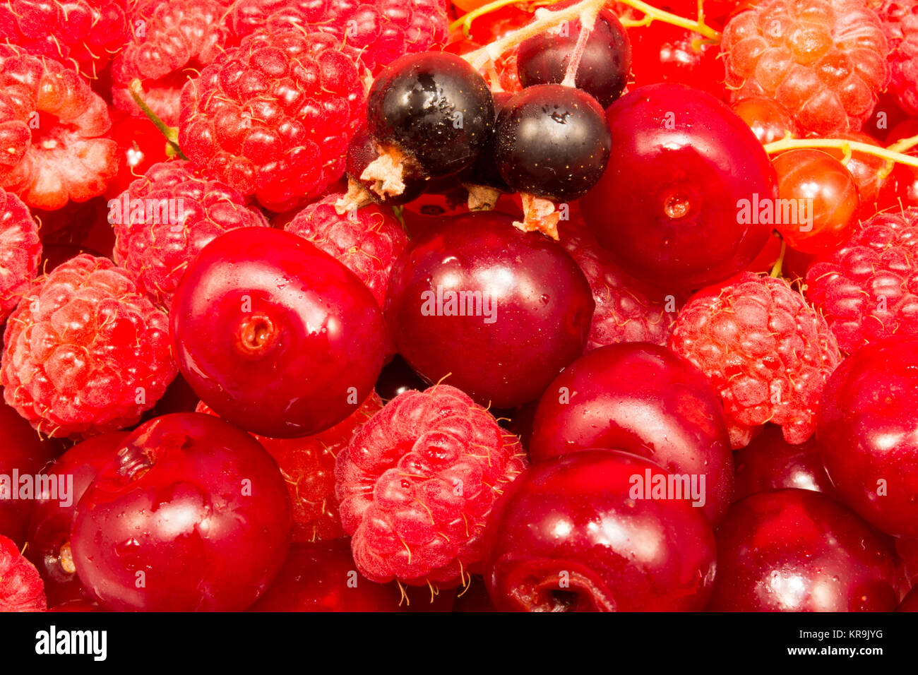 Closeup of red fruit Stock Photo - Alamy