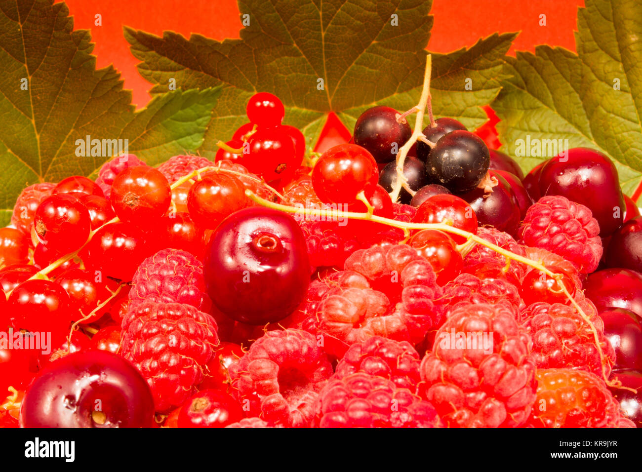 Red fruits on red background Stock Photo - Alamy