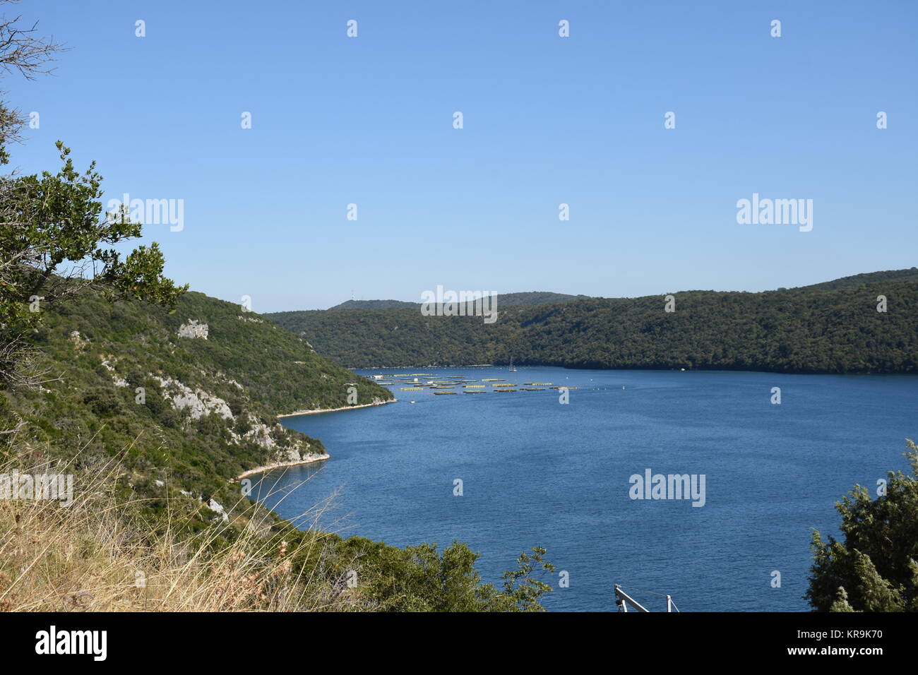 Lim Bay High Resolution Stock Photography and Images - Alamy