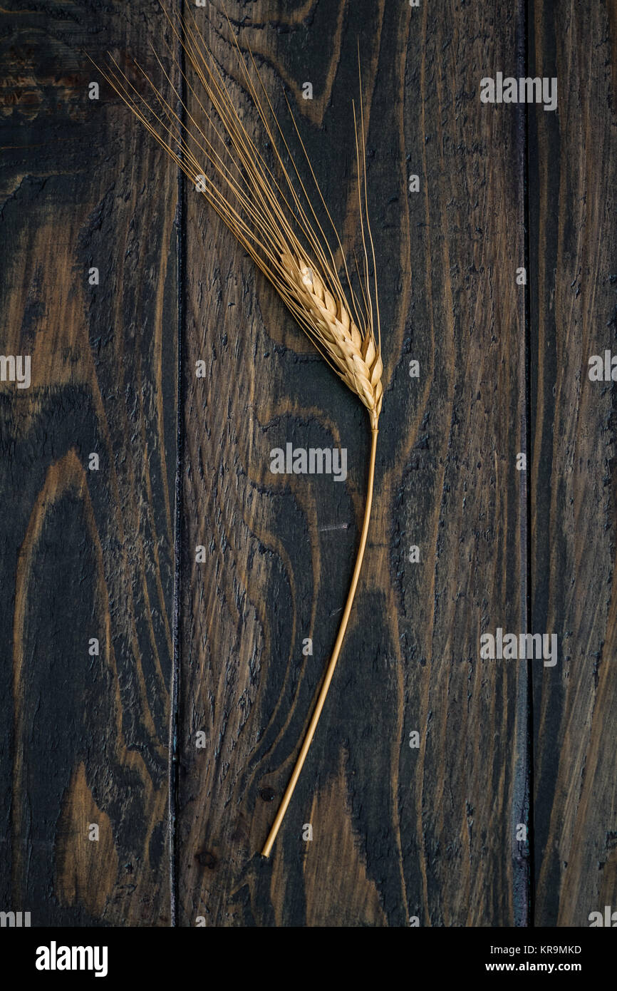 Single Ear of Wheat Stock Photo - Alamy