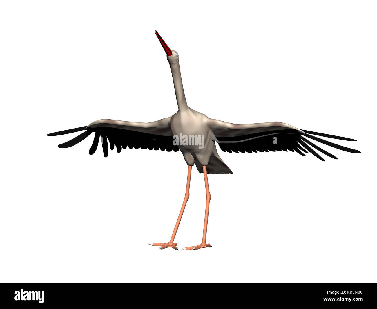 Exposed birds Cut Out Stock Images & Pictures - Alamy