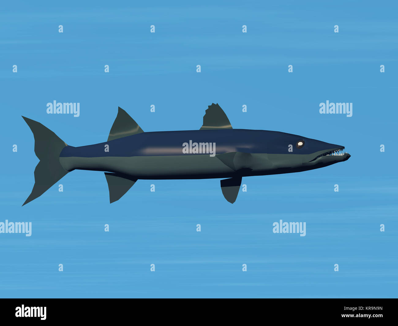 Barakuda hi-res stock photography and images - Alamy