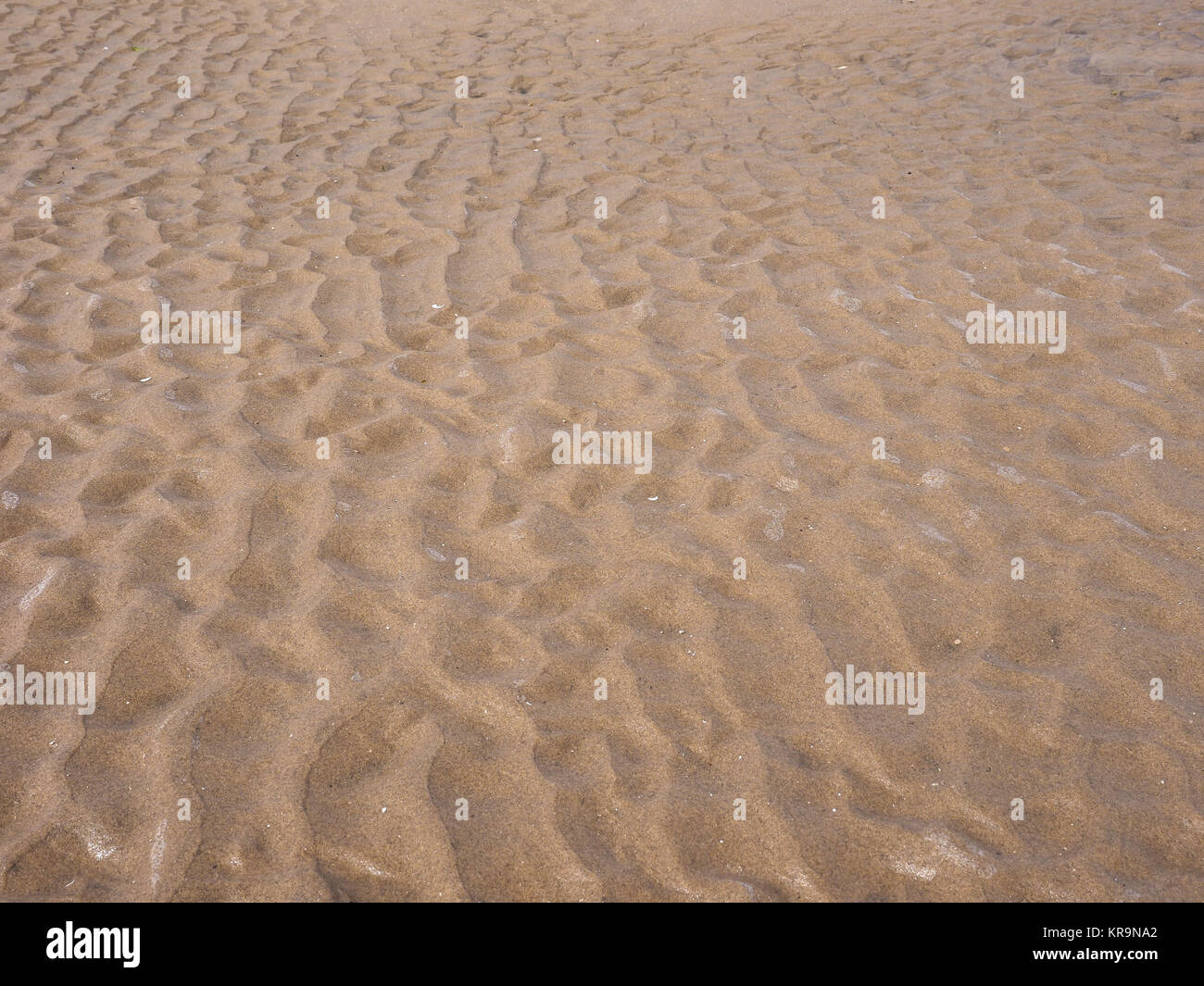 Beach sand background Stock Photo - Alamy