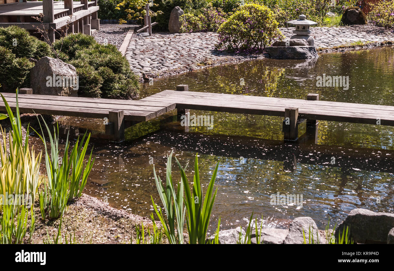 wooden bridge over the pond Stock Photo - Alamy