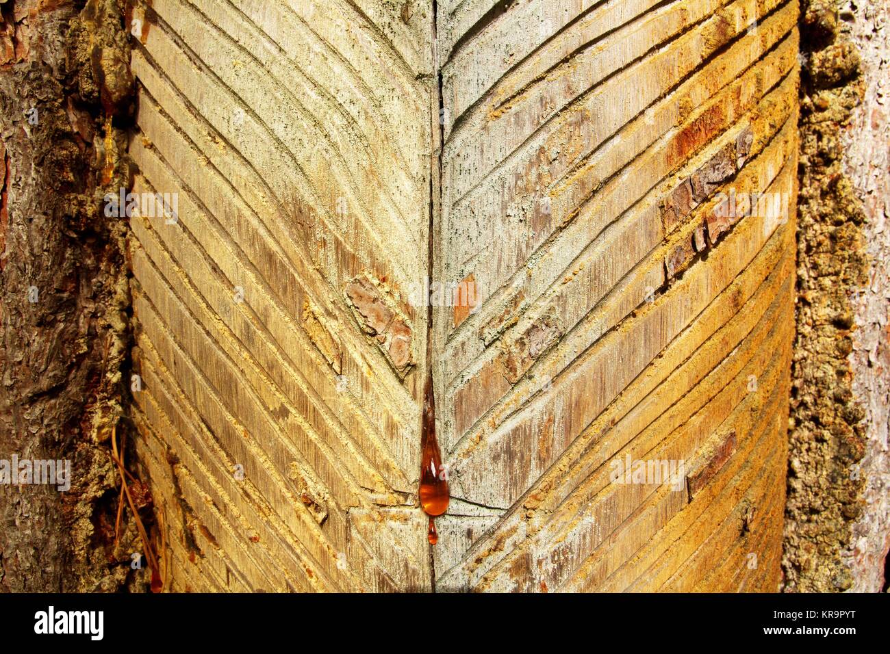 Flowing tears hi-res stock photography and images - Alamy