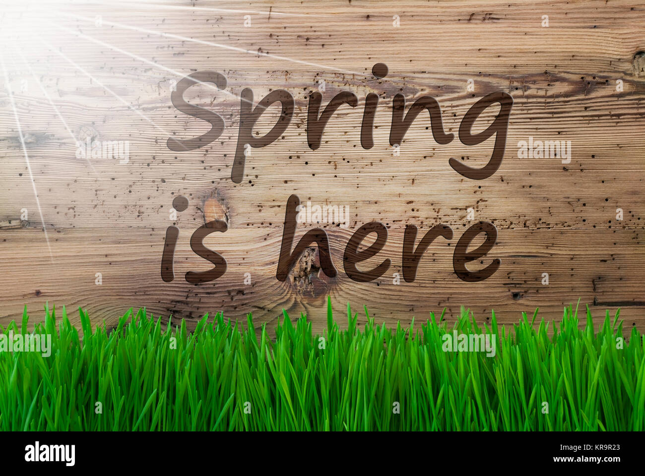 Sunny Wooden Background, Gras, Text Spring Is Here Stock Photo - Alamy