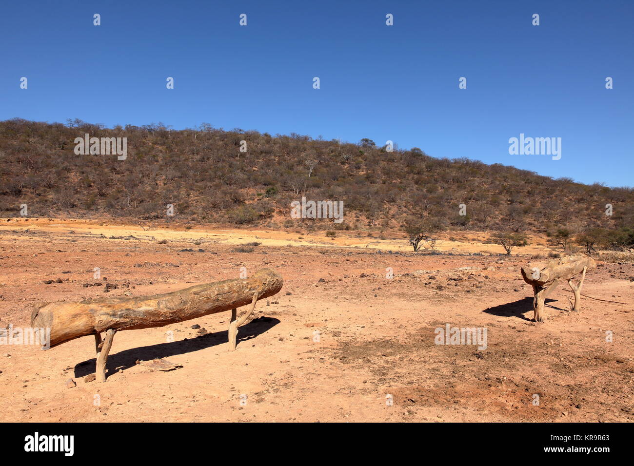 the caatinga landscape in brazil Stock Photo - Alamy