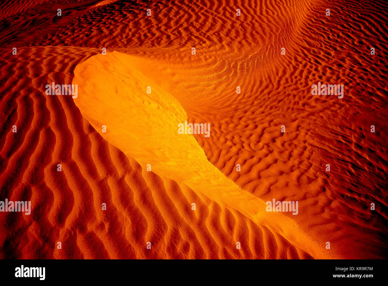 Details of wind drift patterns on large sand dune at Great Sand Hills ...