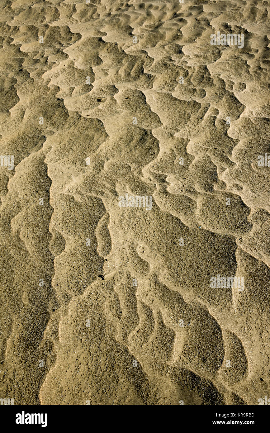 Details of wind drift patterns on large sand dune at Great Sand Hills ...