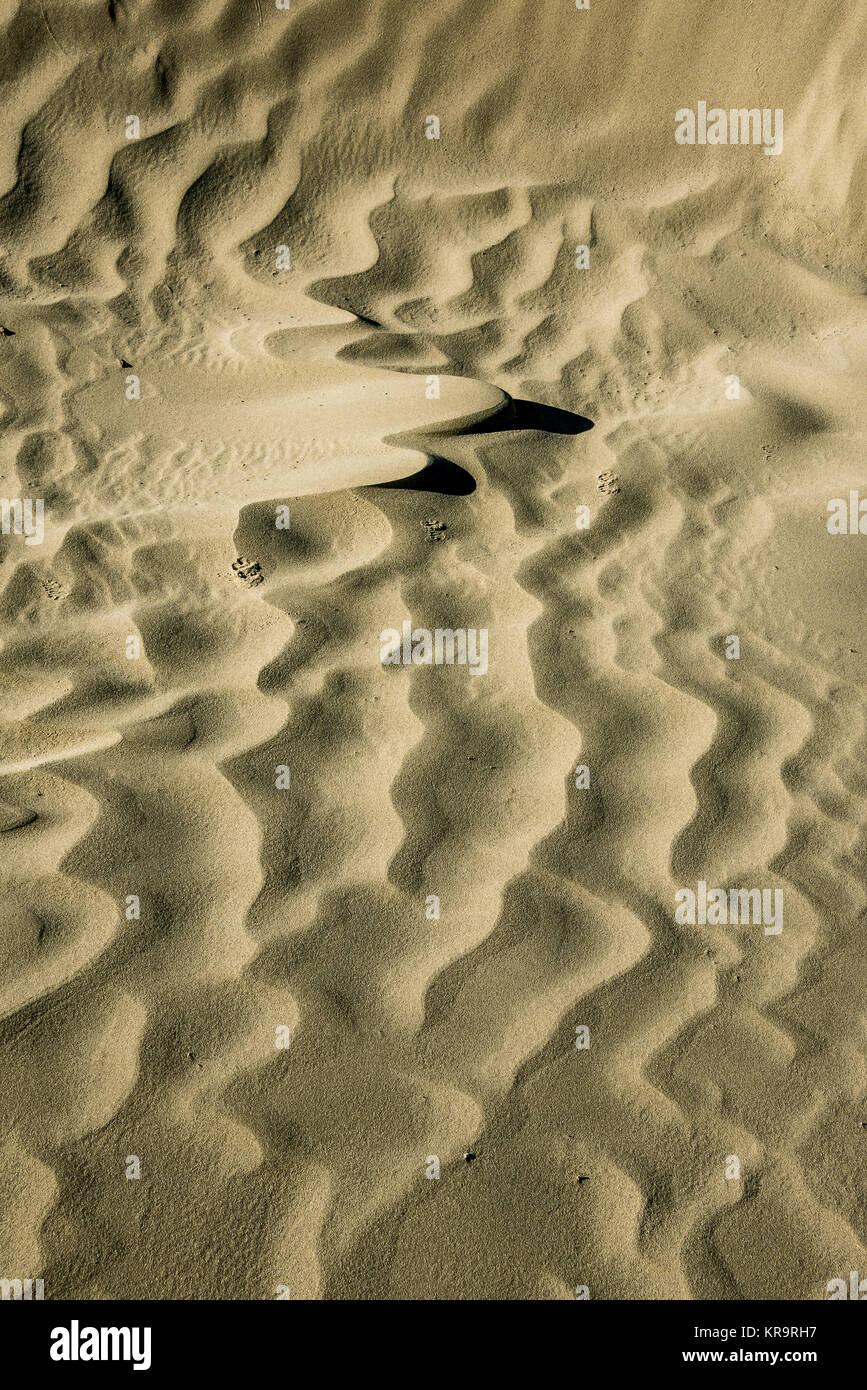 Details of wind drift patterns on large sand dune at Great Sand Hills ...