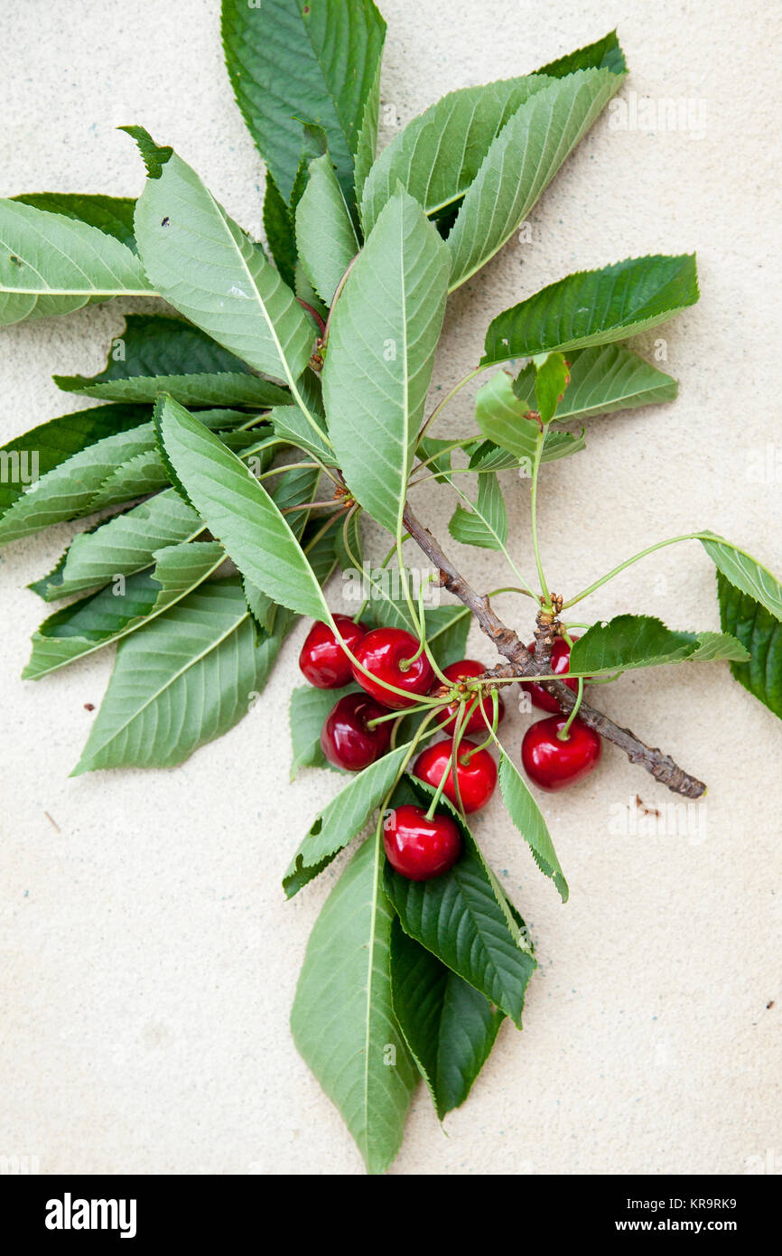 Child feet sand hi-res stock photography and images - Alamy