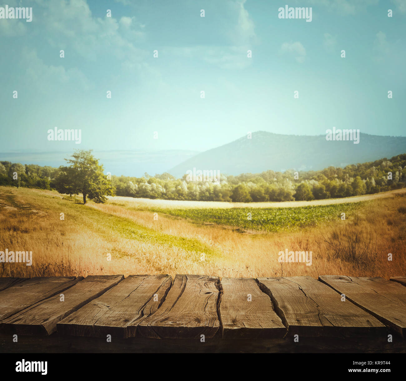 Nature background with wood planks Stock Photo - Alamy