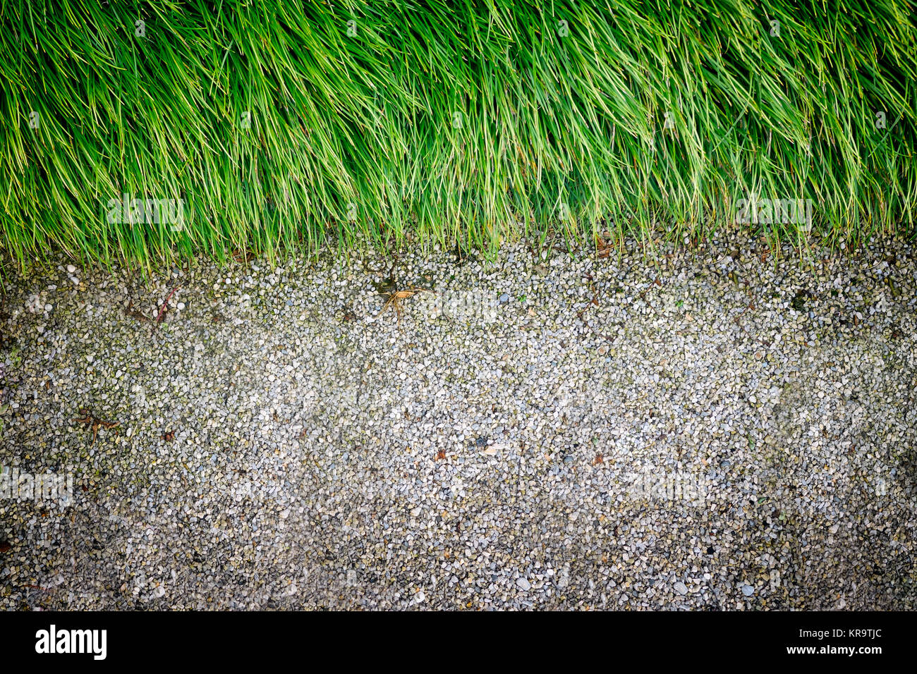 Spring gardener plan hi-res stock photography and images - Alamy