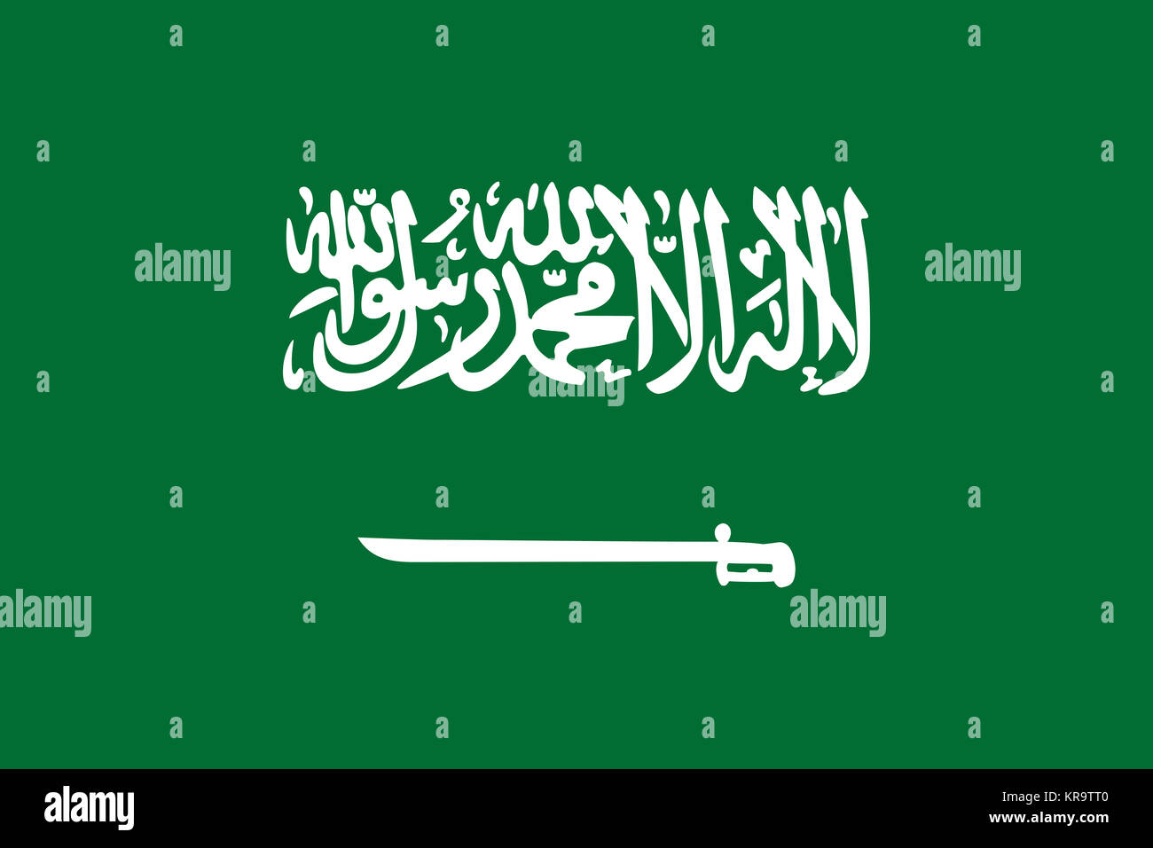 Flag of Saudi Arabia correct proportion and colors Stock Photo - Alamy